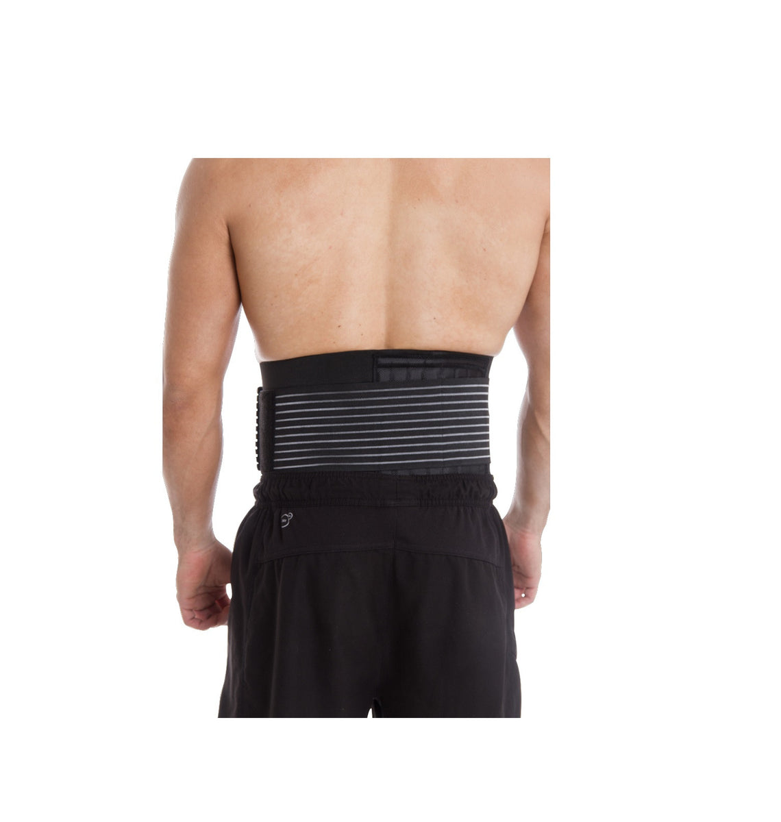 Deluxe Waist Support – LiveUp Fitness